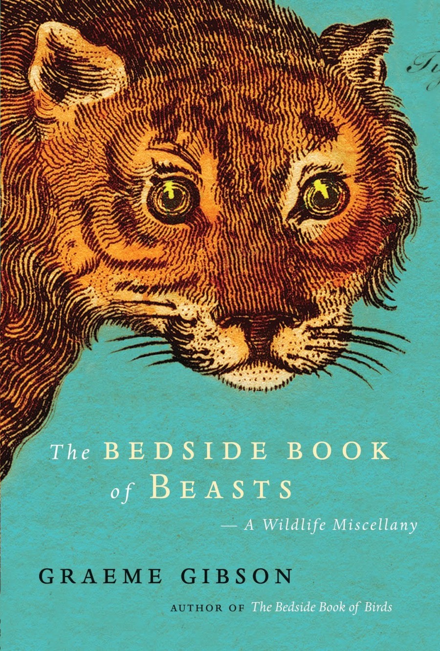 Beasts! – The Casual Optimist