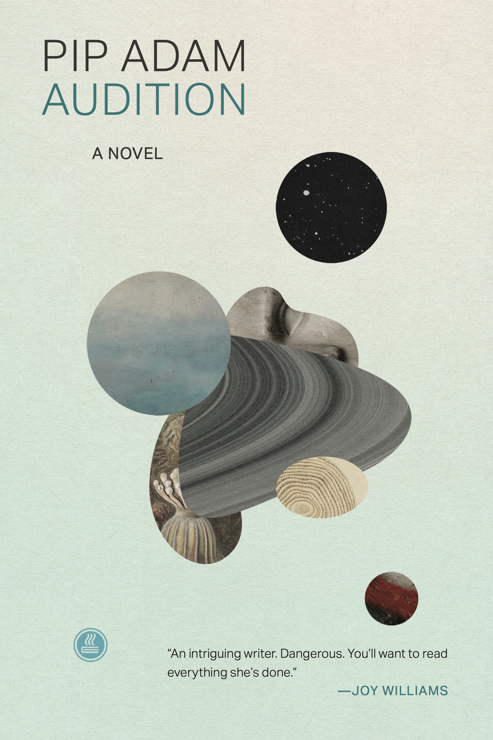 Book Covers of Note, June 2025 – The Casual Optimist